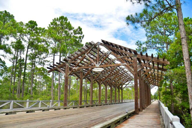 About NatureWalk | NatureWalk at Seagrove